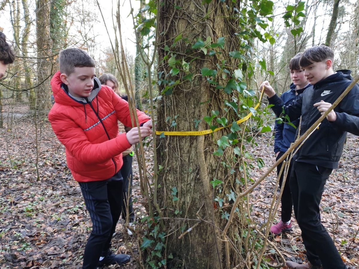Students Investigating Forests – LEAF
