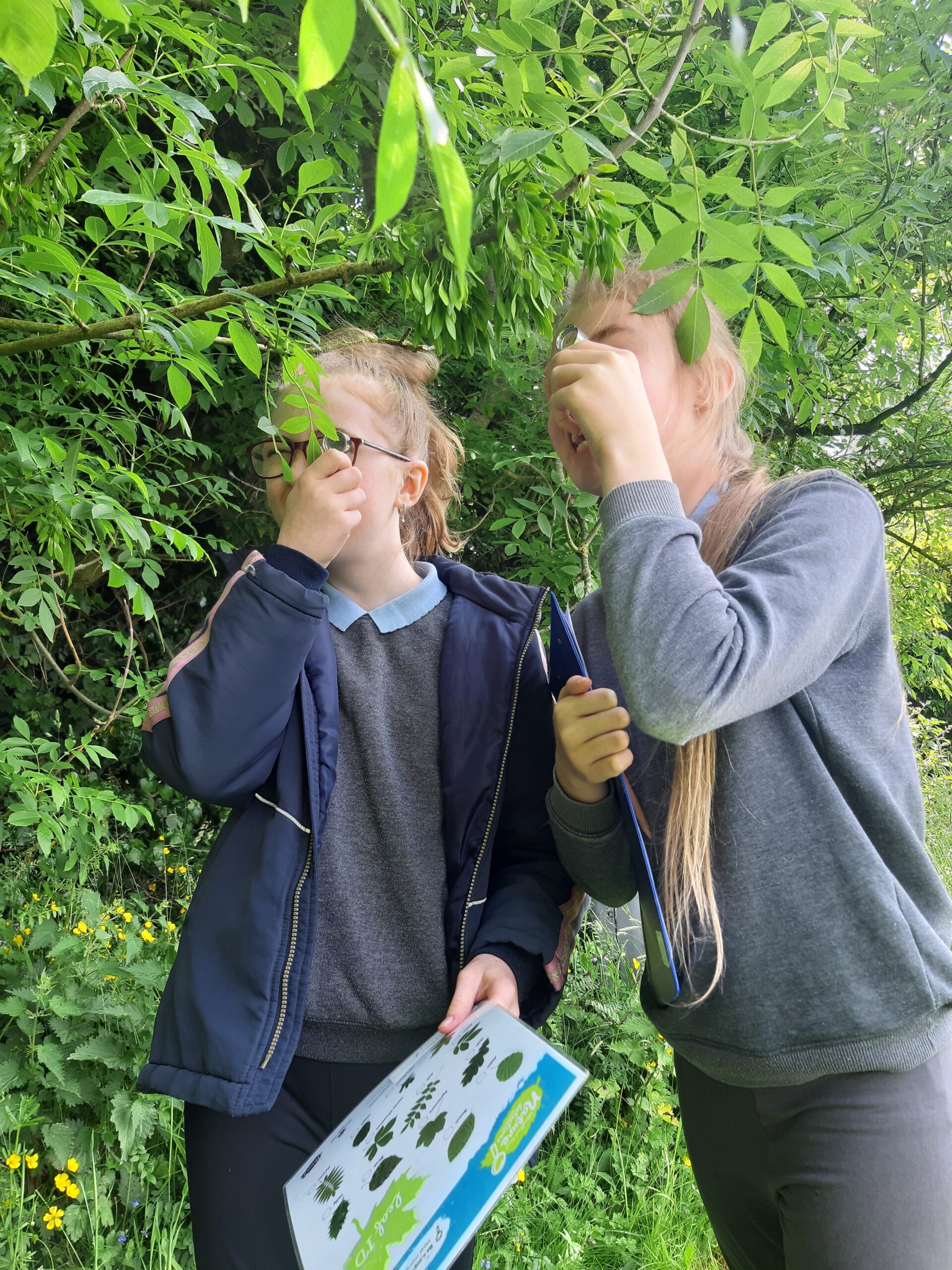 Thousands of students across Ireland have been Investigating the ...