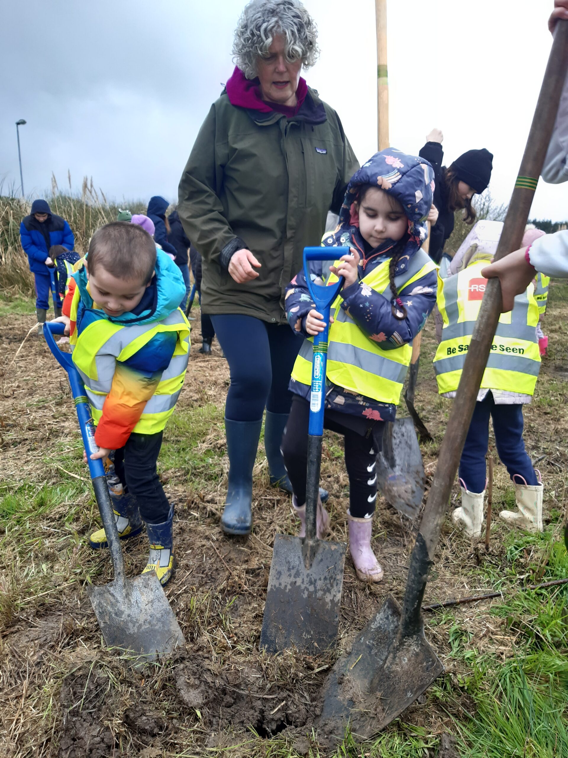 Tralee Educate Together Celebrate 20 Years by Planting 200 Native Trees ...
